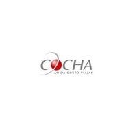 Diseñador UX/UI at COCHA - Chile | Get on Board