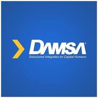 Programador Web at Damsa - Mexico | Get on Board